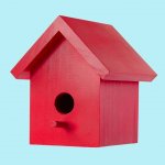 30 One Board Woodworking Projects for Beginners