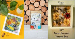15 DIY Shadow Box Ideas (Free Plans to Make)