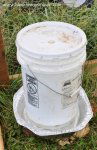 19 Cheap DIY Chicken Waterer Ideas | PVC Chicken Waterer