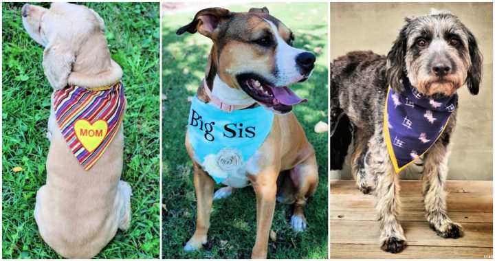 25 Free Baby Bib Patterns (Printable Sewing Pattern PDF