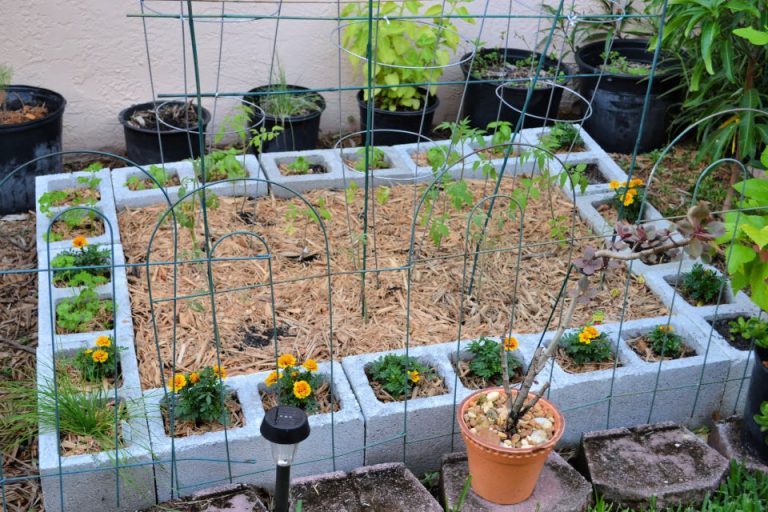15 Best Cinder Block Raised Bed | Cinder Block Garden Ideas
