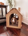 60 Unique Cardboard House Ideas | Cardboard Houses for Kids