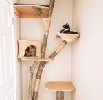 25 Free Homemade DIY Cat Tree Plans