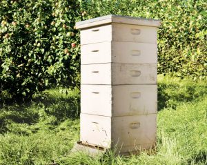 25 Free DIY Beehive Plans - Build Your Own Beehives