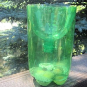 25 Homemade DIY Fly Trap Ideas to Catch Flies Fast