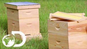 25 Free DIY Beehive Plans - Build Your Own Beehives