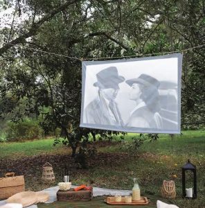 25 Homemade DIY Projector Screen Ideas
