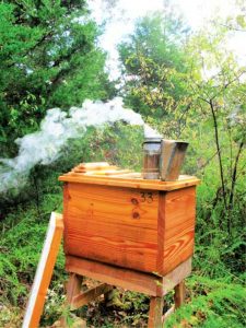 25 Free DIY Beehive Plans - Build Your Own Beehives