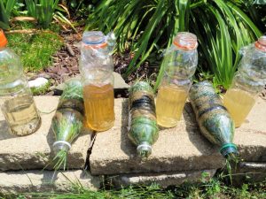 25 DIY Water Filter Systems You Can Make at Home