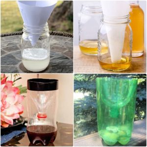 25 Homemade DIY Fly Trap Ideas to Catch Flies Fast