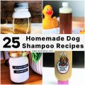 25 Homemade DIY Dog Shampoo Recipes to Make