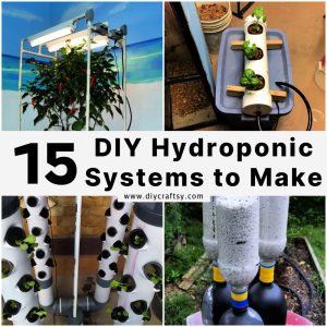 Homemade DIY Hydroponic System (How to Build)