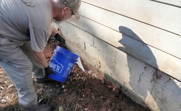 How to DIY Termite Treatment