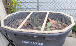 DIY Tortoise Enclosure: Step-by-Step Instructions
