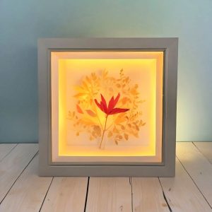 How to Make a Shadow Box for Any Occasion