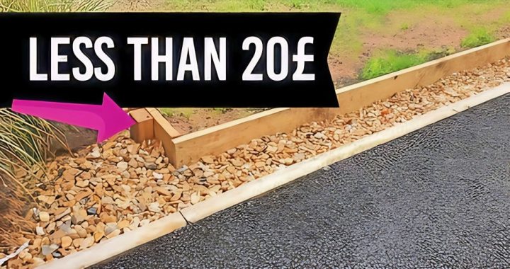 DIY Landscape Timber Edging for Beginners