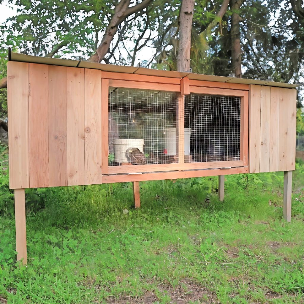 Building Your Own DIY Quail Hutch