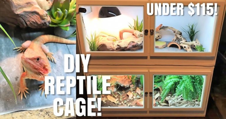 Homemade DIY Snake Enclosure