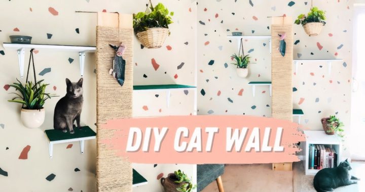 DIY Cat Projects - DIY Crafts