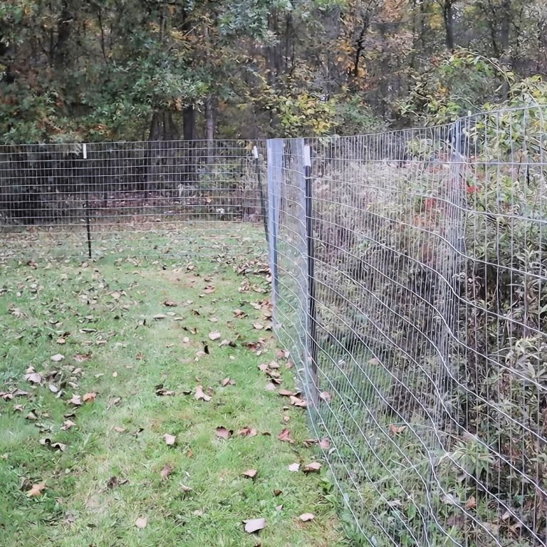 Cheapest Way to Build a Fence: Step-by-Step Guide