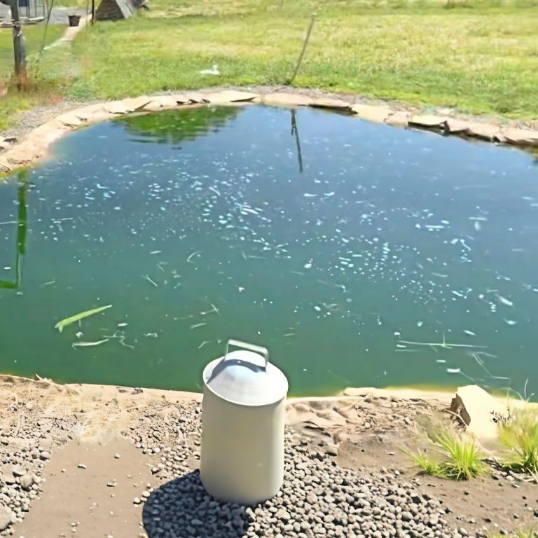 Building a DIY Duck Pond