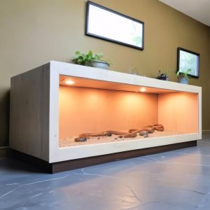 Homemade DIY Snake Enclosure