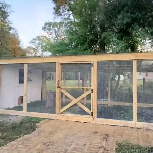 How To Build A DIY Chicken Run