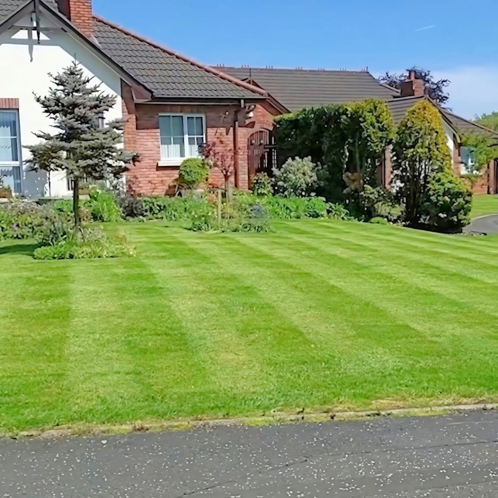 Easy DIY Lawn Care for Beginners