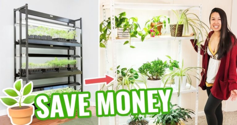 How to Build a DIY Grow Light Stand