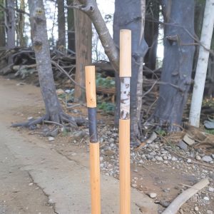 How to Make a DIY Walking Stick