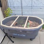 DIY Tortoise Enclosure: Step-by-Step Instructions