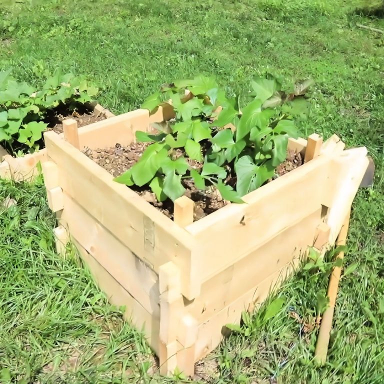 DIY Potato Growing Box: Grow Fresh Spuds All Year Round