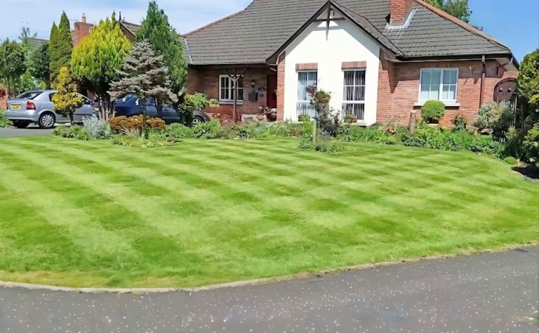 Easy DIY Lawn Care for Beginners