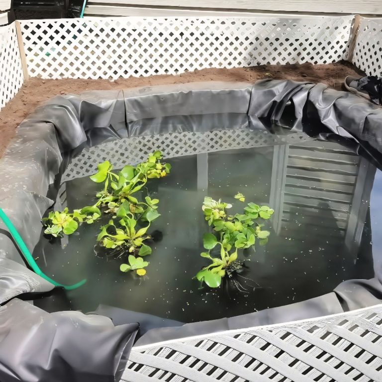 Homemade DIY Turtle Pond