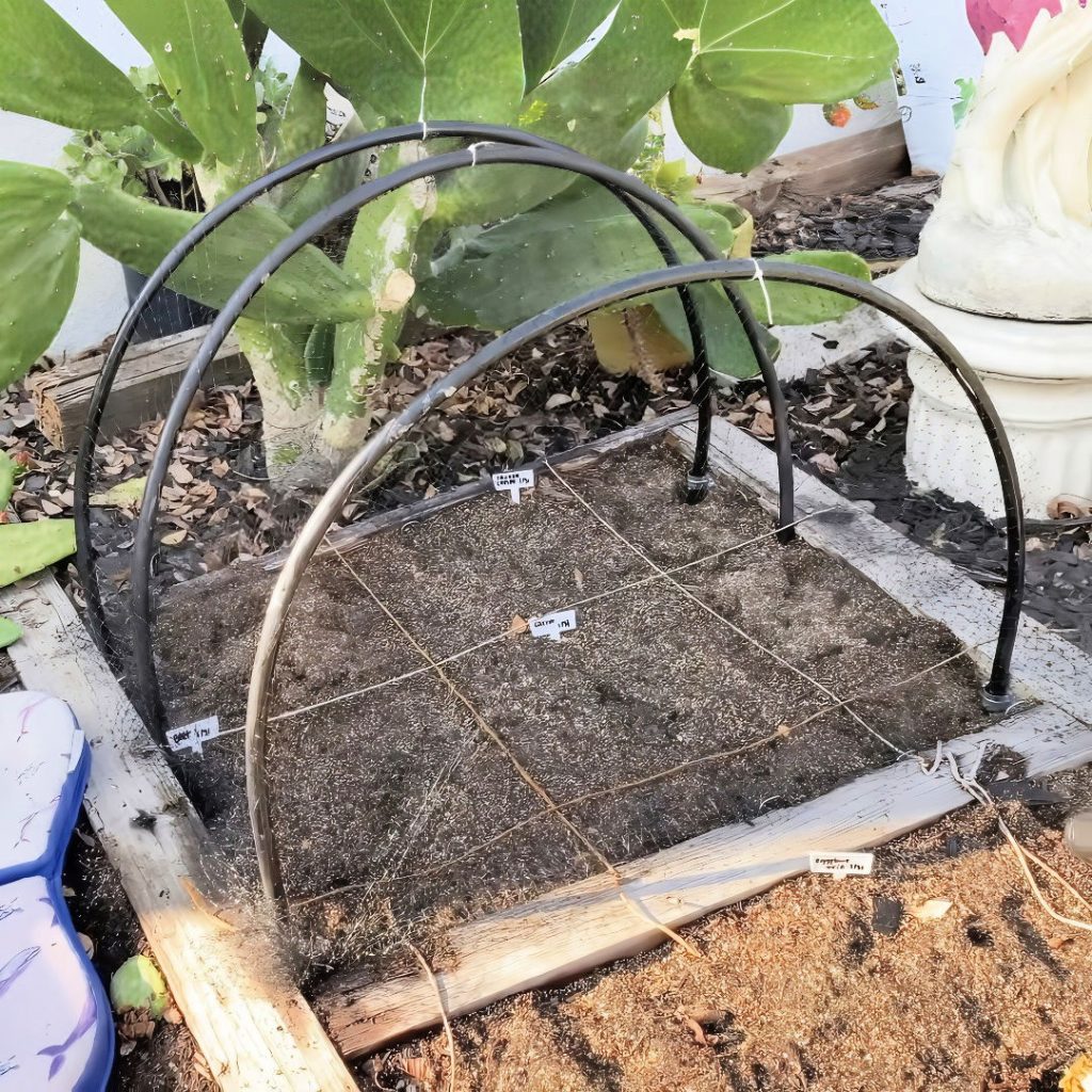 DIY Garden Hoops for Protecting Plants