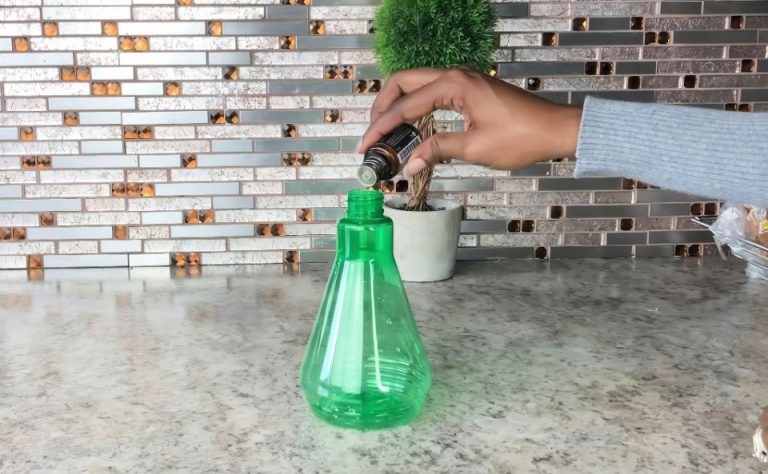 Homemade DIY Spider Repellent Spray