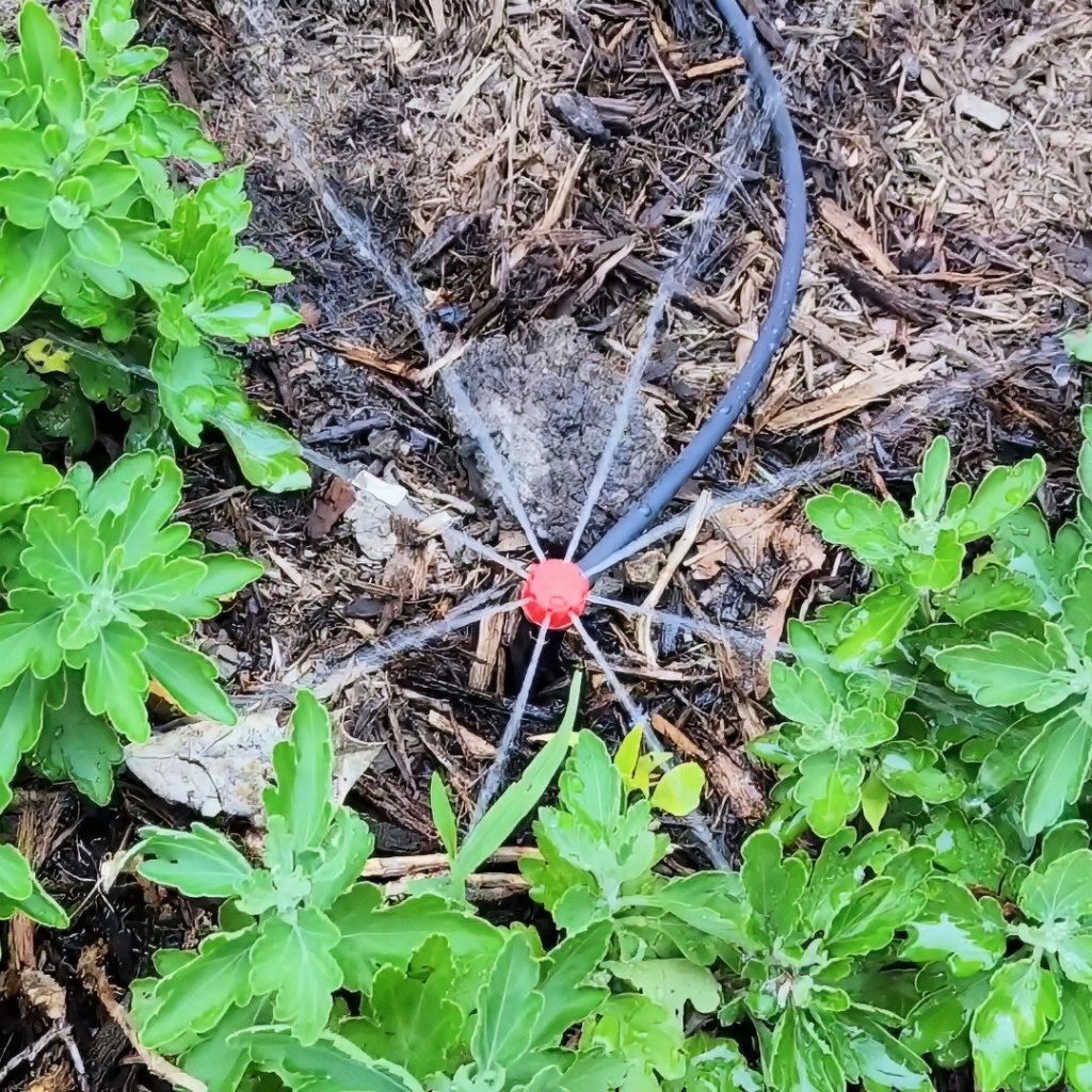 DIY Garden Irrigation System for Beginners