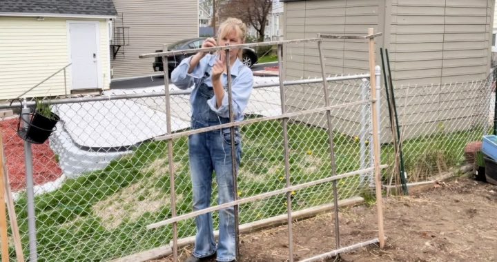 Making a DIY PVC Trellis at Home