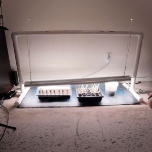 How to Build a DIY Grow Light Stand
