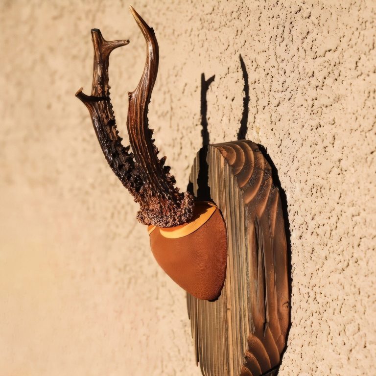 How to Mount Deer Antlers