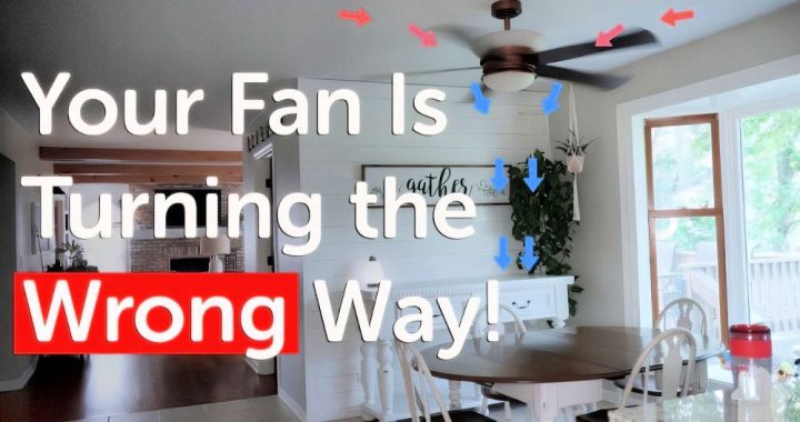 How to Install a Ceiling Fan Yourself